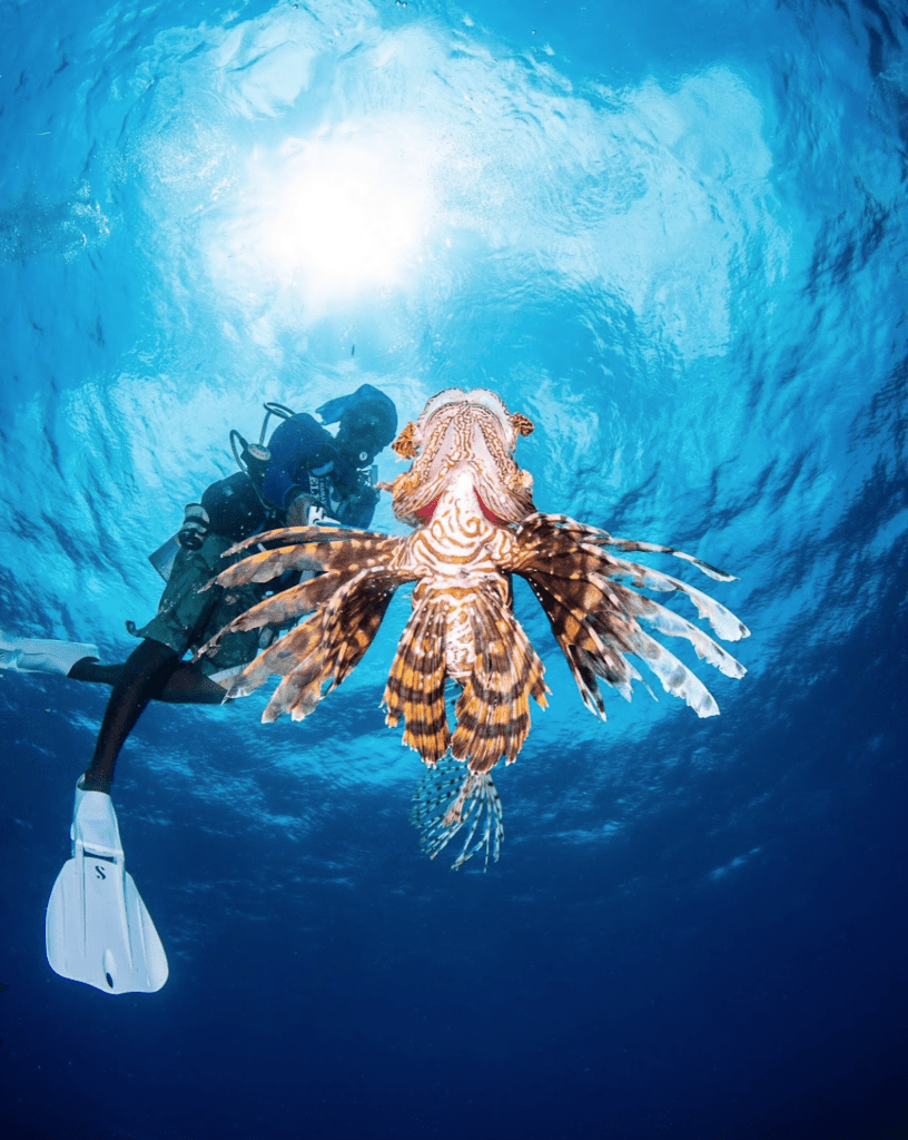 Texas Scuba Adventures - Online Store